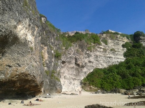 Blue-Point - BALIAJEG TRANS